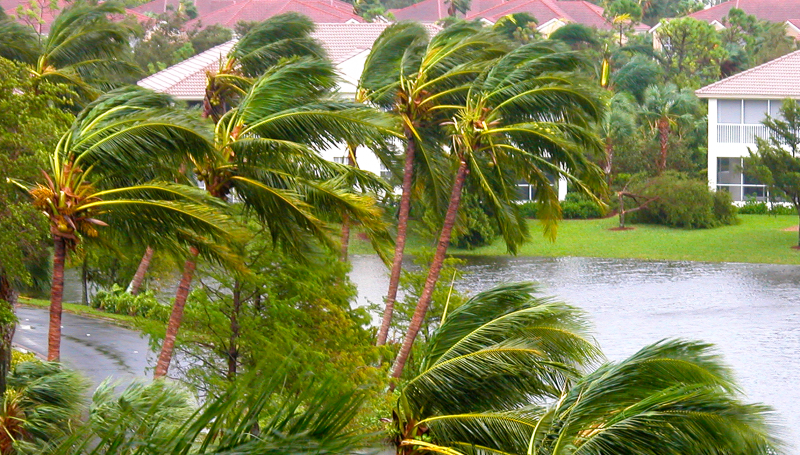 What You Should Know About Stormwater Runoff Management In Landscaping ...