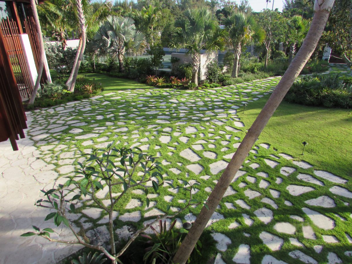 Landscape Design Gallery Sarasota Florida - Wilhelm Brothers